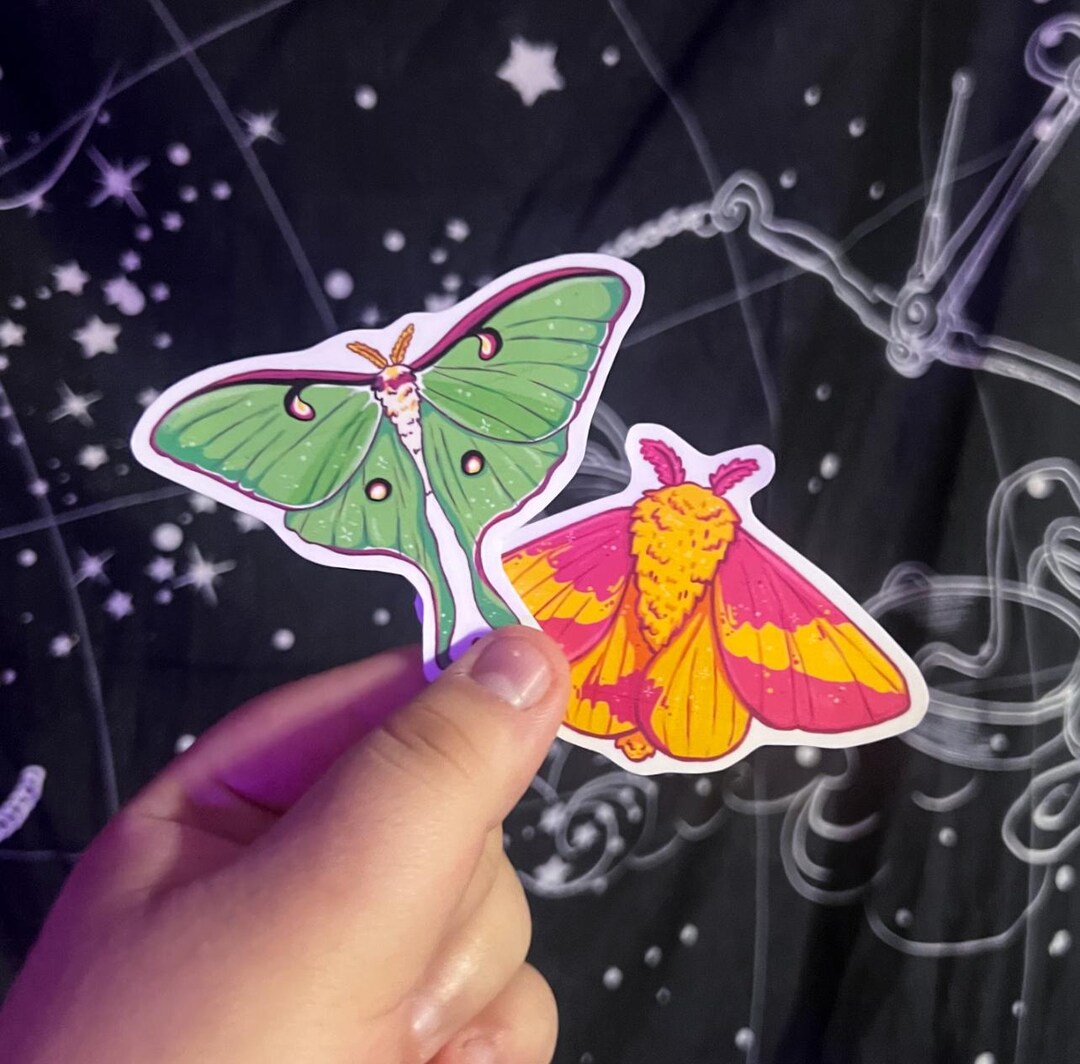 Moth Stickers | Luna Moth and Rosy Maple Moth Decal | 3 Inch Vinyl ...