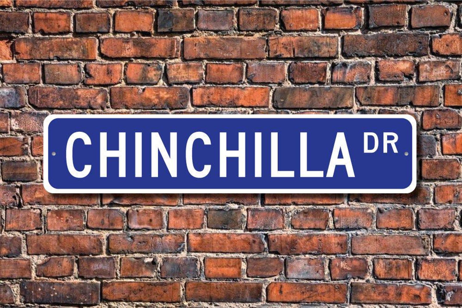Chinchilla, Chinchilla Gift, Chinchilla Sign, Chinchilla Decor ...