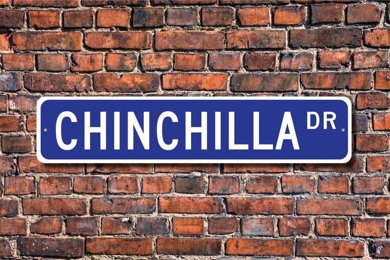 Chinchilla, Chinchilla Gift, Chinchilla Sign, Chinchilla Decor ...