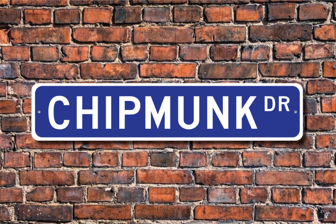 Chipmunk Chipmunk Gift Chipmunk Sign Chipmunk Decor - Etsy