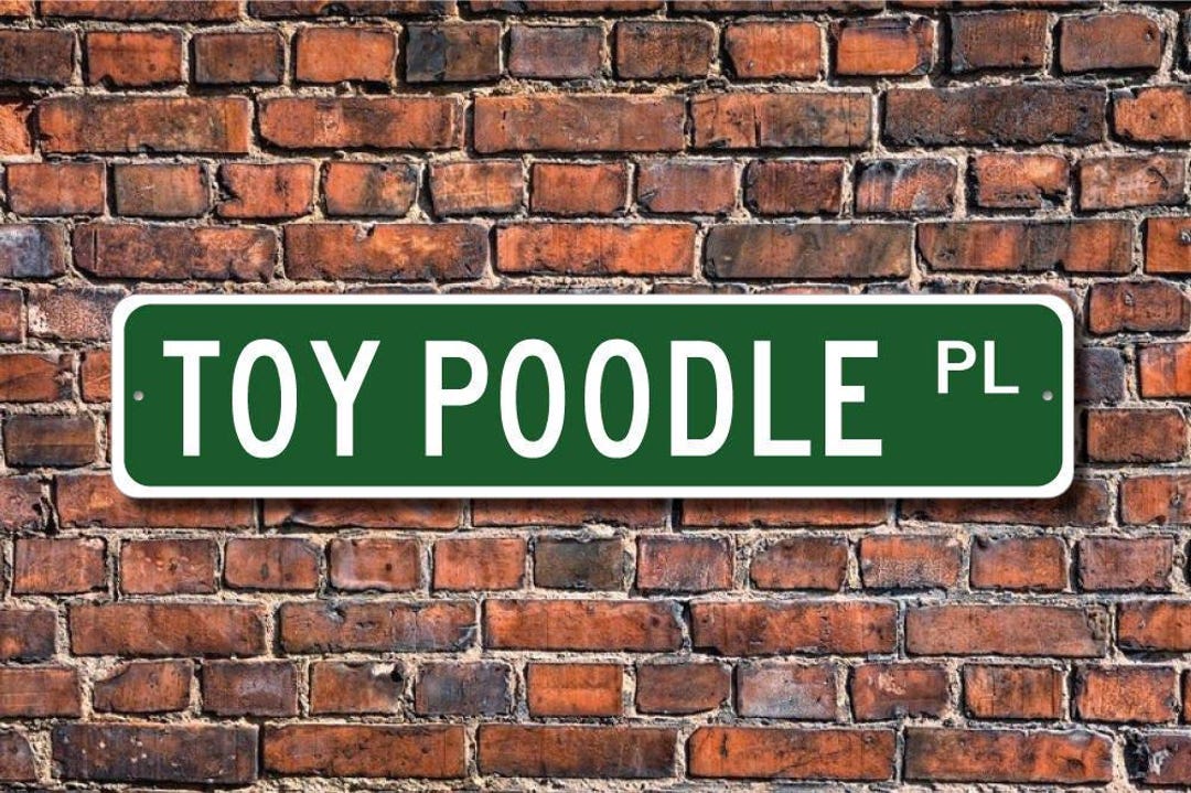 Toy Poodle, Toy Poodle Sign, Toy Poodle Lover, Custom Street Sign ...