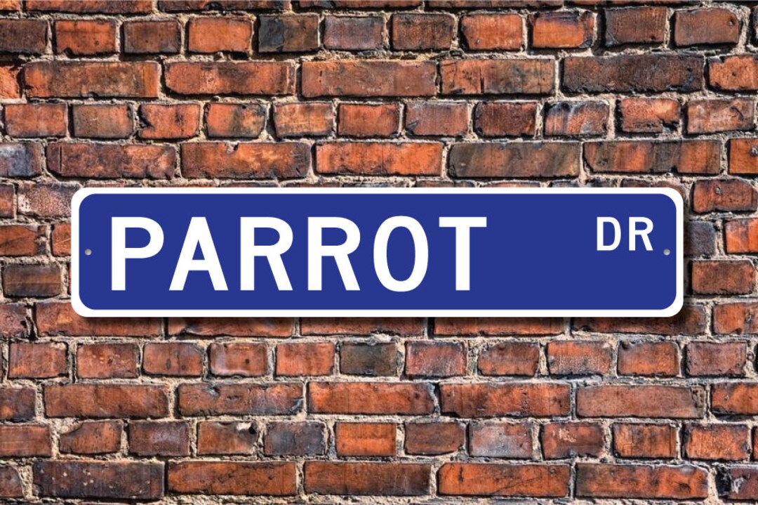 Parrot, Parrot Gift, Parrot Sign, Parrot Decor, Parrot Lover, Colorful ...