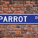 Parrot, Parrot Gift, Parrot Sign, Parrot Decor, Parrot Lover, Colorful ...