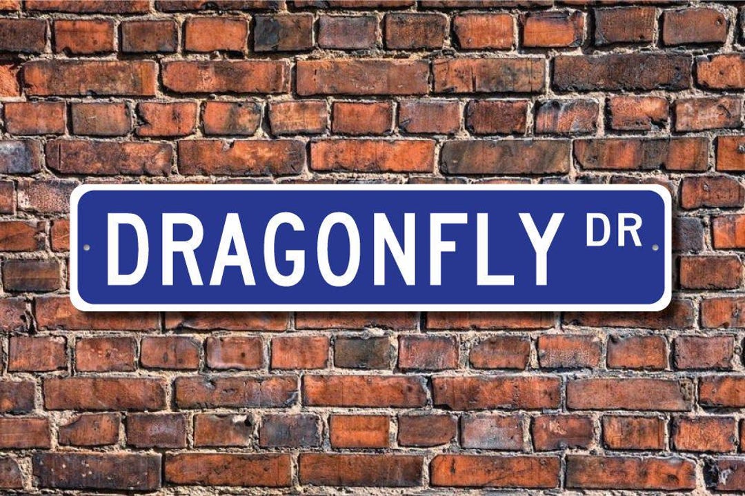 Dragonfly, Dragonfly Gift, Dragonfly Sign, Dragonfly Decor, Dragonfly ...