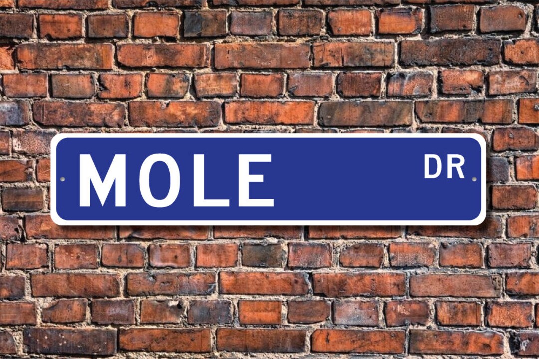 Mole, Mole Gift, Mole Sign, Mole Decor, Mole Lover, Subterranean Mammal ...