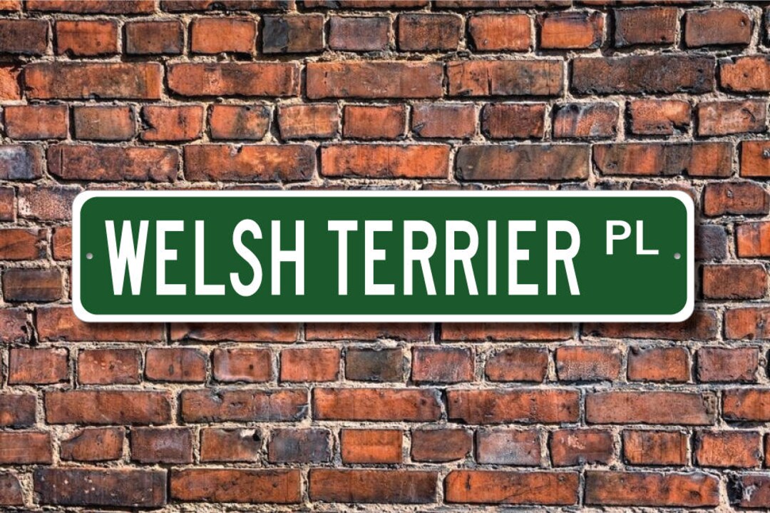 Welsh Terrier, Welsh Terrier Sign, Welsh Terrier Lover, Custom Street ...