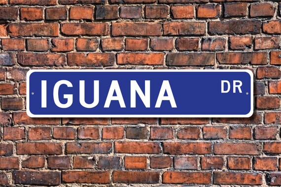 Iguana Iguana Gift Iguana Sign Iguana Decor Iguana Lover - Etsy