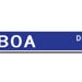 Boa, Boa Gift, Boa Sign, Boa Decor, Boa Expert, Boa Lover, Snake Expert ...
