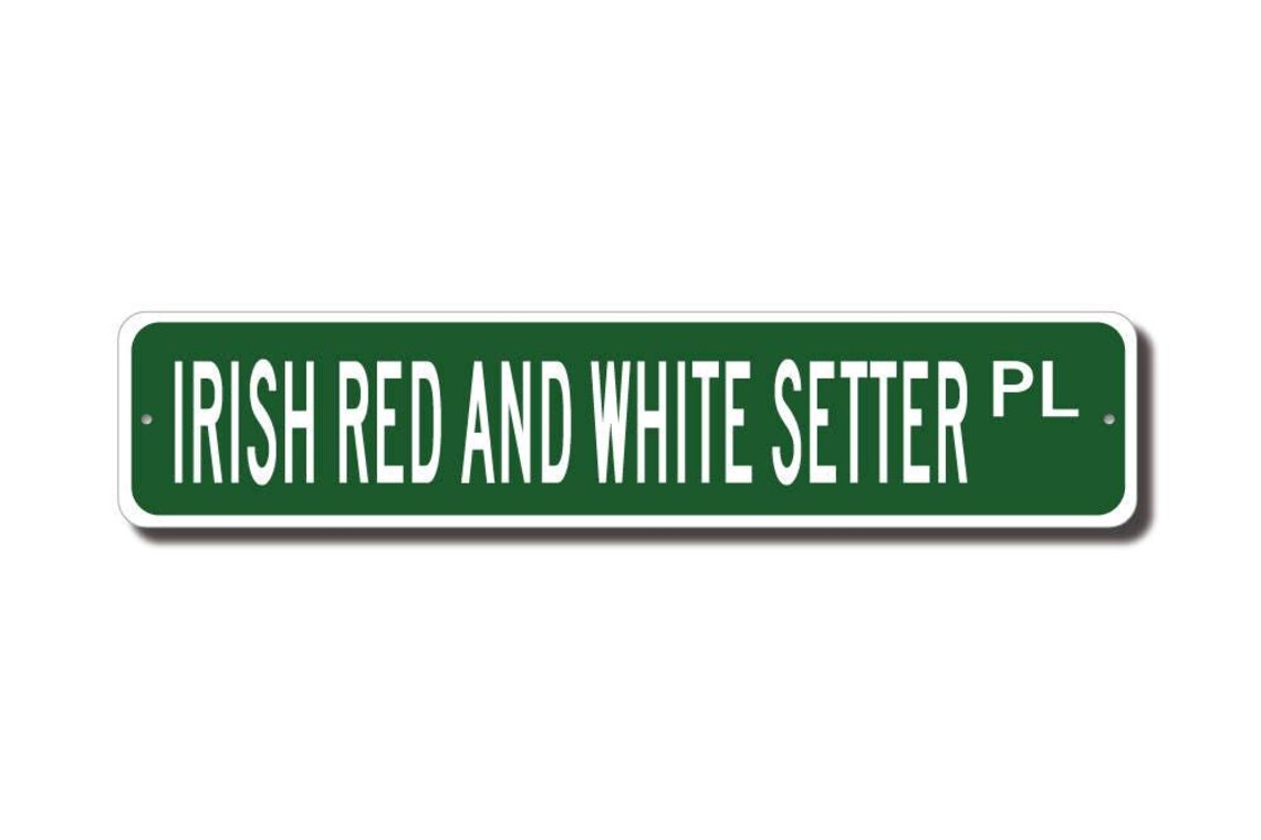Irish Red and White Setter, Irish Red and White Setter Lover, Irish Red ...