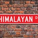 Himalayan Himalayan Lover Himalayan Sign Himalayan Owner - Etsy