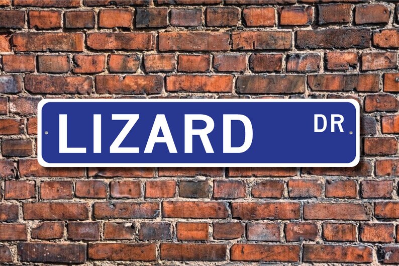 Lizard Lizard Gift Lizard Sign Lizard Decor Lizard Lover - Etsy