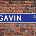 Gavin Gavin Sign Gavin Fan Gavin Decor Child Gift - Etsy