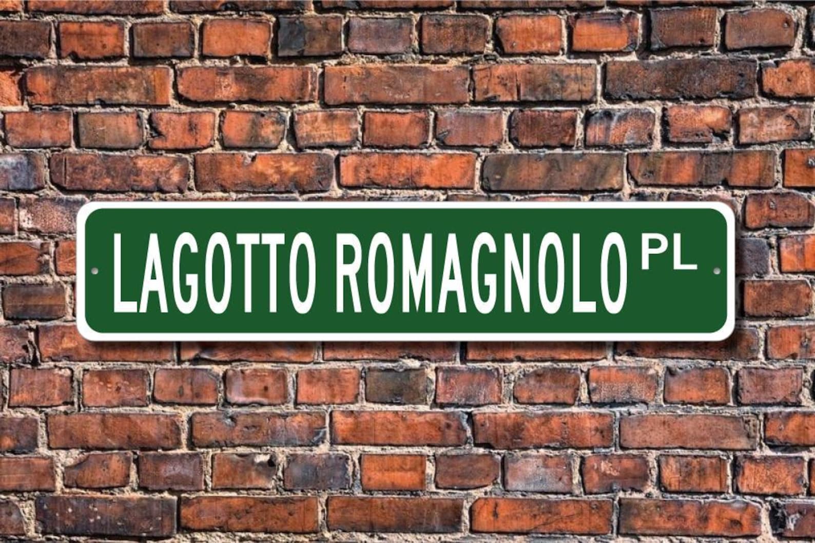 Lagotto Romagnolo, Lagotto Romagnolo Lover, Lagotto Romagnolo Sign ...