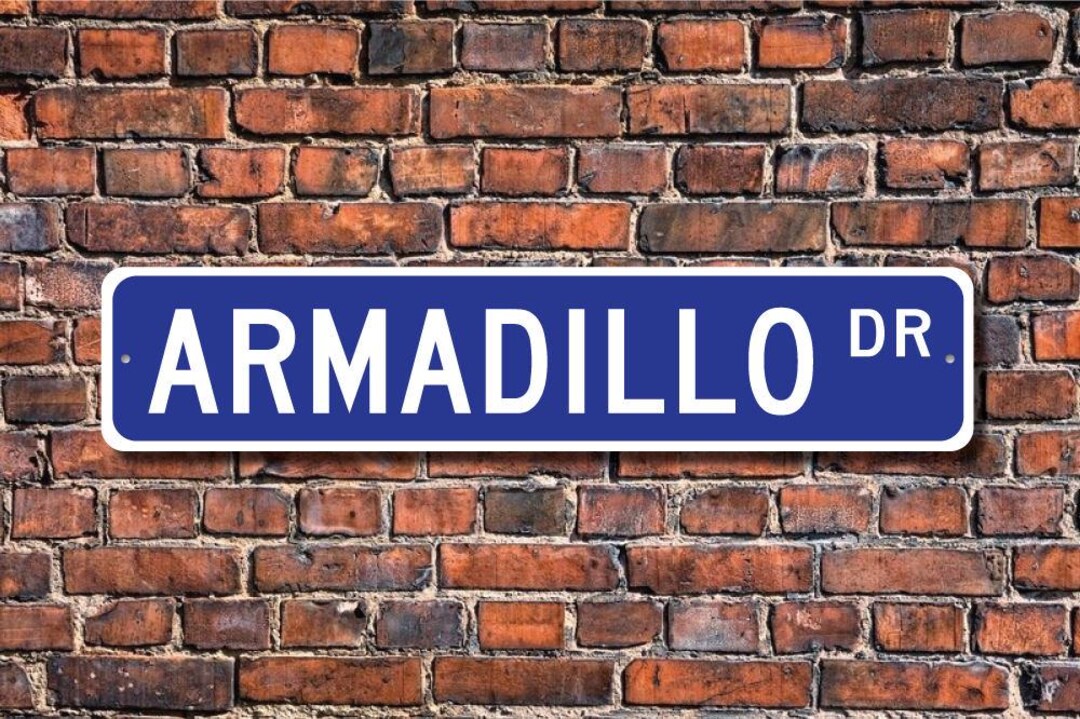 Armadillo, Armadillo Gift, Armadillo Sign, Armadillo Decor, Armadillo ...