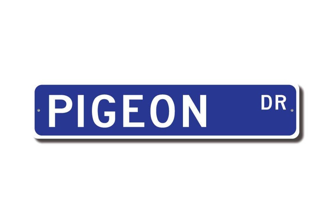 Pigeon, Pigeon Gift, Pigeon Sign, Pigeon Decor, Pigeon Lover, Pigeon ...