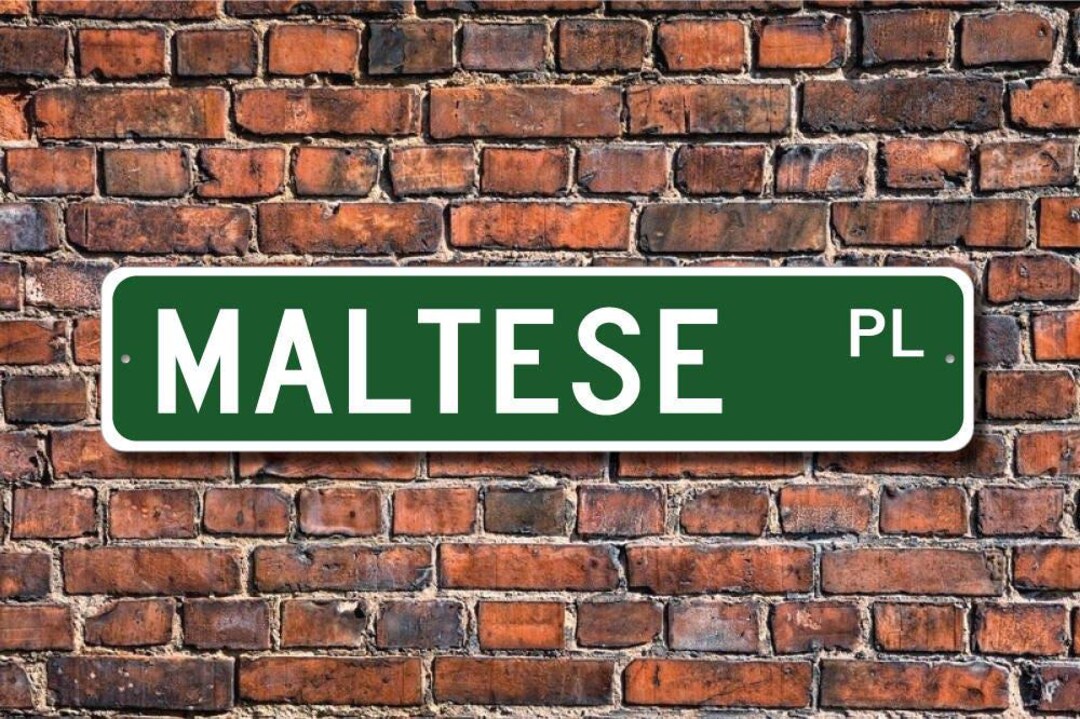 Maltese, Maltese Lover, Maltese Sign, Custom Street Sign, Quality Metal ...