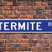 Termite Termite Gift Termite Sign Termite Decor Termite - Etsy