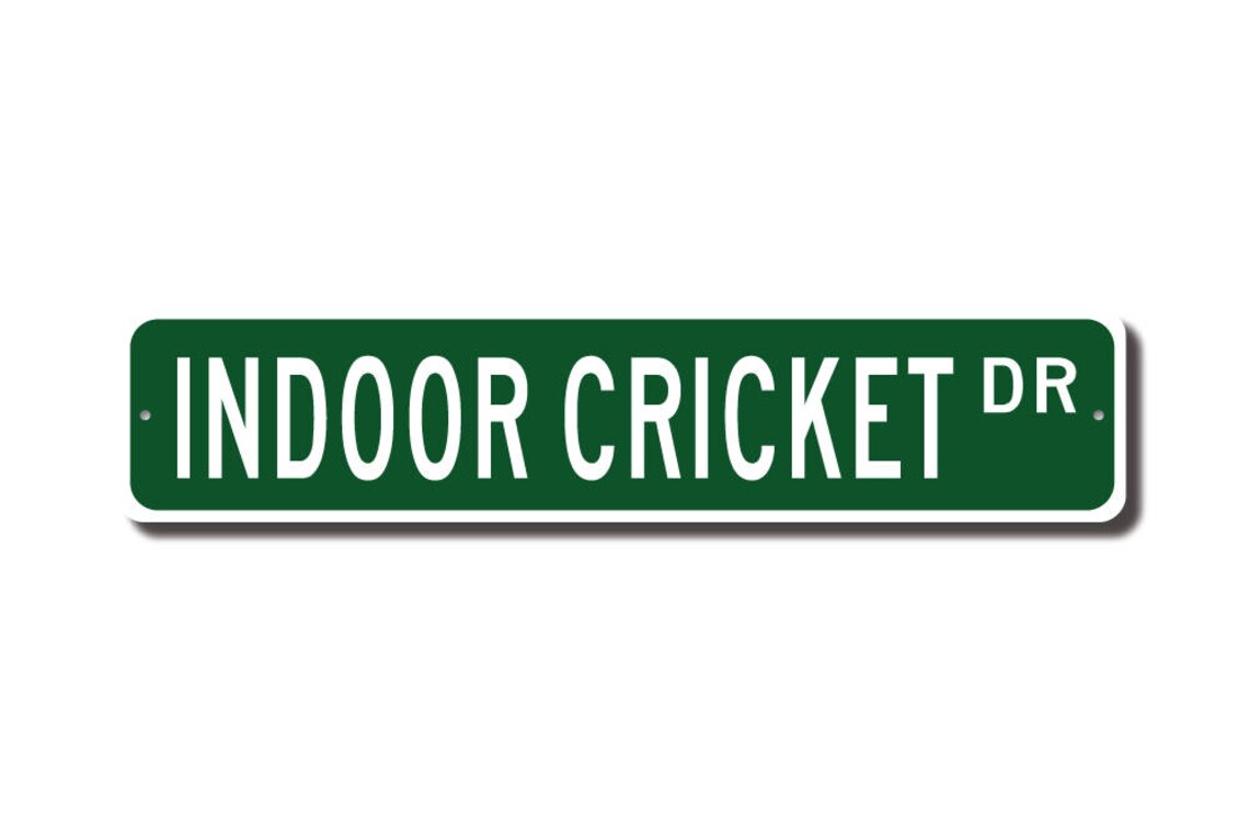 Indoor Cricket Indoor Cricket Sign Indoor Cricket Fan | Etsy