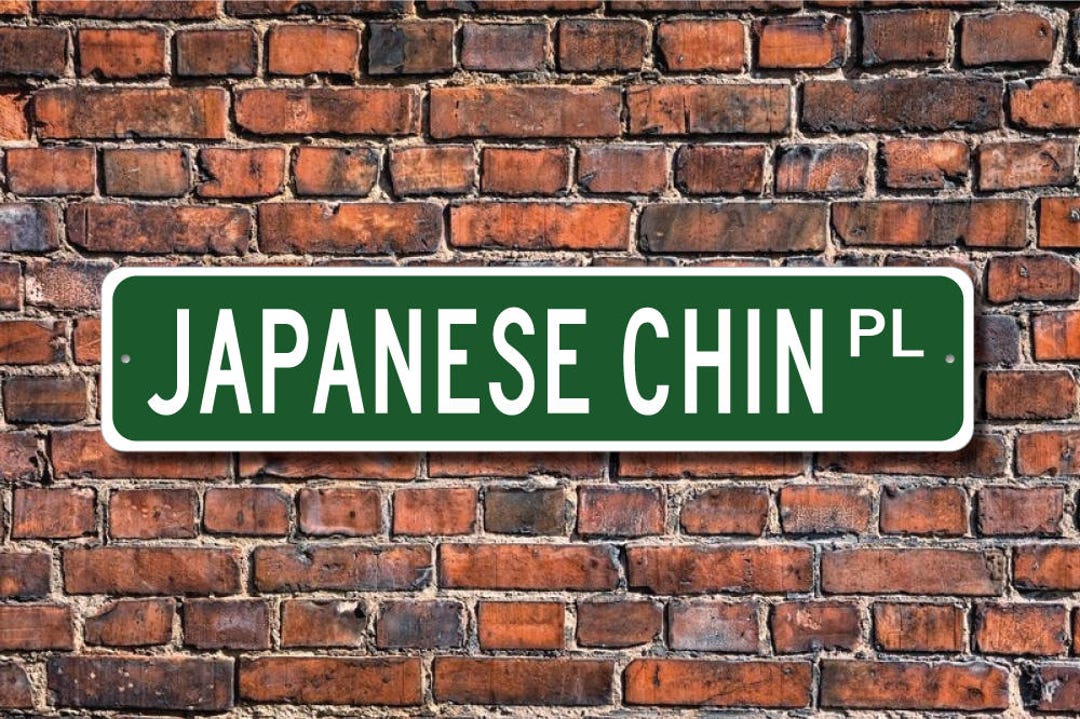Japanese Chin, Japanese Chin Lover, Japanese Chin Sign, Custom Street ...