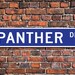Panther Panther Gift Panther Sign Panther Decor Panther | Etsy