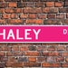 Haley Haley Sign Haley Gift Haley Lover Child Gift | Etsy