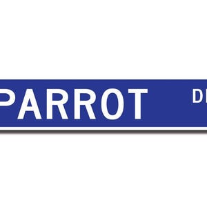 Parrot, Parrot Gift, Parrot Sign, Parrot Decor, Parrot Lover, Colorful ...