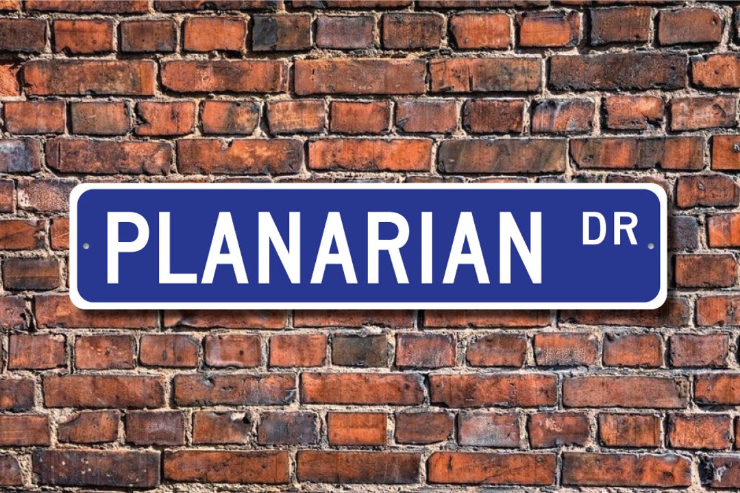 Planarian Planarian Gift Planarian Sign Planarian Decor - Etsy