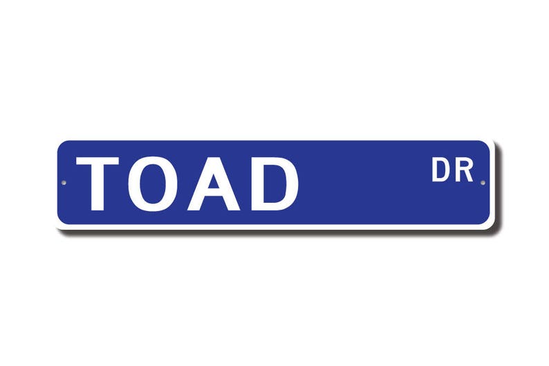 Toad Toad Gift Toad Sign Toad Decor Toad Lover Common | Etsy