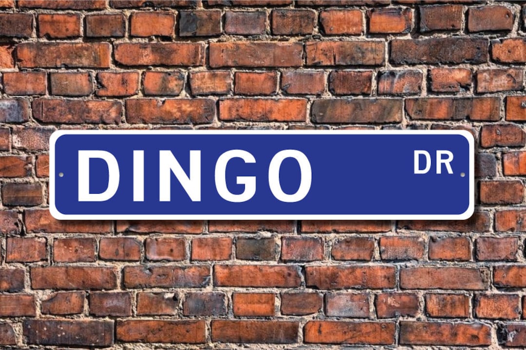 Dingo, Dingo Gift, Dingo Sign, Dingo Decor, Dingo Expert, Wild Animal ...