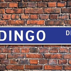 Dingo, Dingo Gift, Dingo Sign, Dingo Decor, Dingo Expert, Wild Animal ...