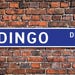 Dingo, Dingo Gift, Dingo Sign, Dingo Decor, Dingo Expert, Wild Animal ...