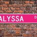 Alyssa, Alyssa Sign, Alyssa Lover, Alyssa Gift, Child Gift, Grandchild ...