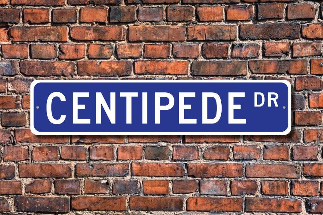 Centipede, Centipede Gift, Centipede Sign, Centipede Decor, Centipede ...