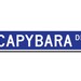Capybara, Capybara Gift, Capybara Sign, Capybara Decor, Capybara Expert ...