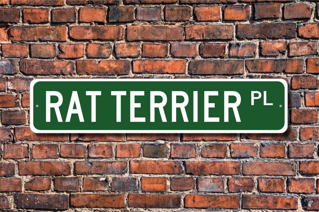 Rat Terrier, Rat Terrier Sign, Rat Terrier Lover, Custom Street Sign ...