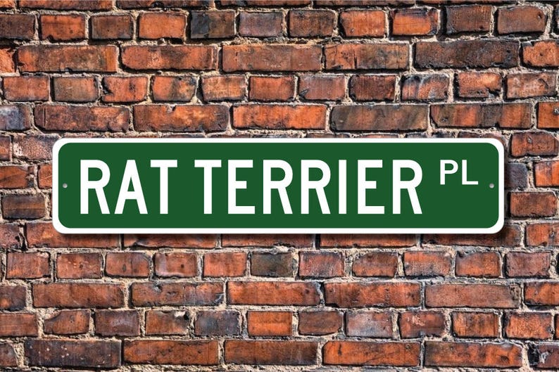 Rat Terrier Rat Terrier Sign Rat Terrier Lover Custom | Etsy