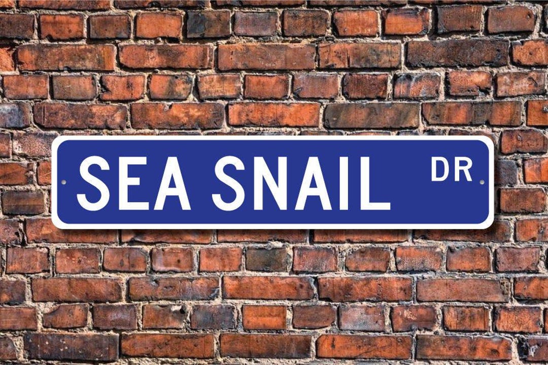 Sea Snail, Sea Snail Gift, Sea Snail Sign, Sea Snail Decor, Snail Lover ...