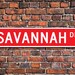 Savannah Savannah Sign Savannah Cat Owner Savannah Gift - Etsy