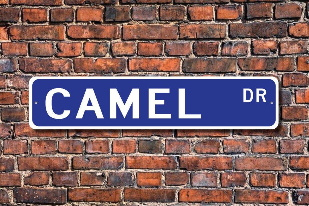 Camel, Camel Gift, Camel Sign, Camel Decor, Camel Expert, Camel Studies ...