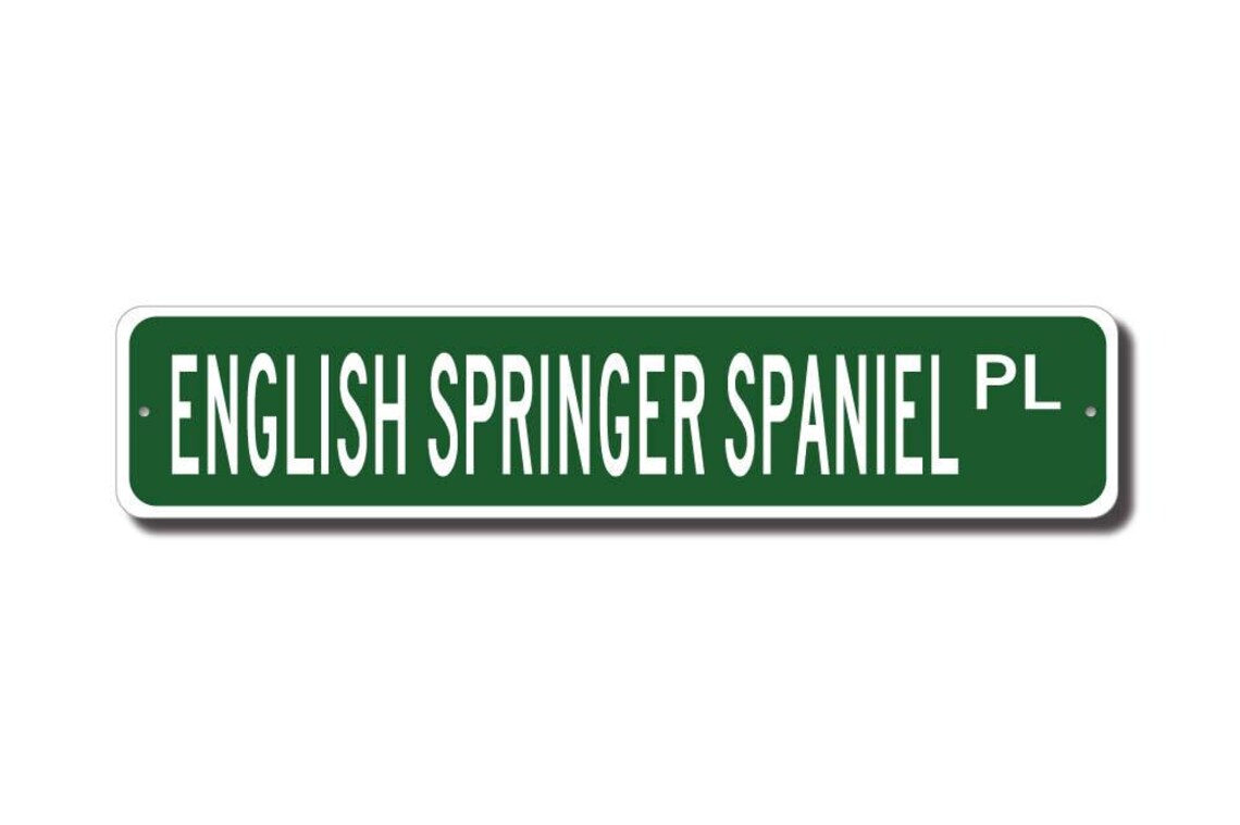 English Springer Spaniel, English Springer Spaniel Lover, English ...