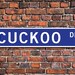 Cuckoo, Cuckoo Gift, Cuckoo Sign, Cuckoo Decor, Cuckoo Expert, Cuckoo ...