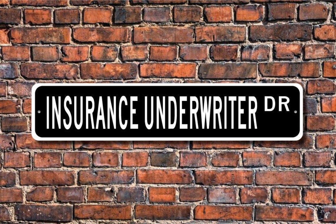 Insurance Underwriter, Insurance Underwriter Gift, Insurance ...