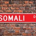 Somali Somali Sign Somali Owner Somali Gift Somali Cat - Etsy