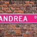 Andrea Andrea Sign Andrea Lover Andrea Gift Child Gift - Etsy