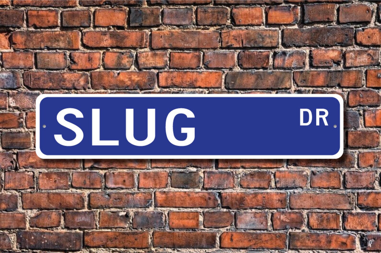 Slug Slug Gift Slug Sign Slug Decor Slug Lover Shell-less | Etsy