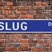 Slug, Slug Gift, Slug Sign, Slug Decor, Slug Lover, Shell-less ...