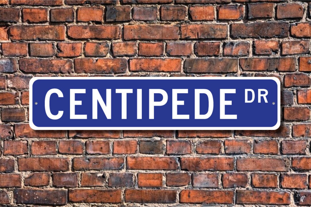 Centipede, Centipede Gift, Centipede Sign, Centipede Decor, Centipede ...