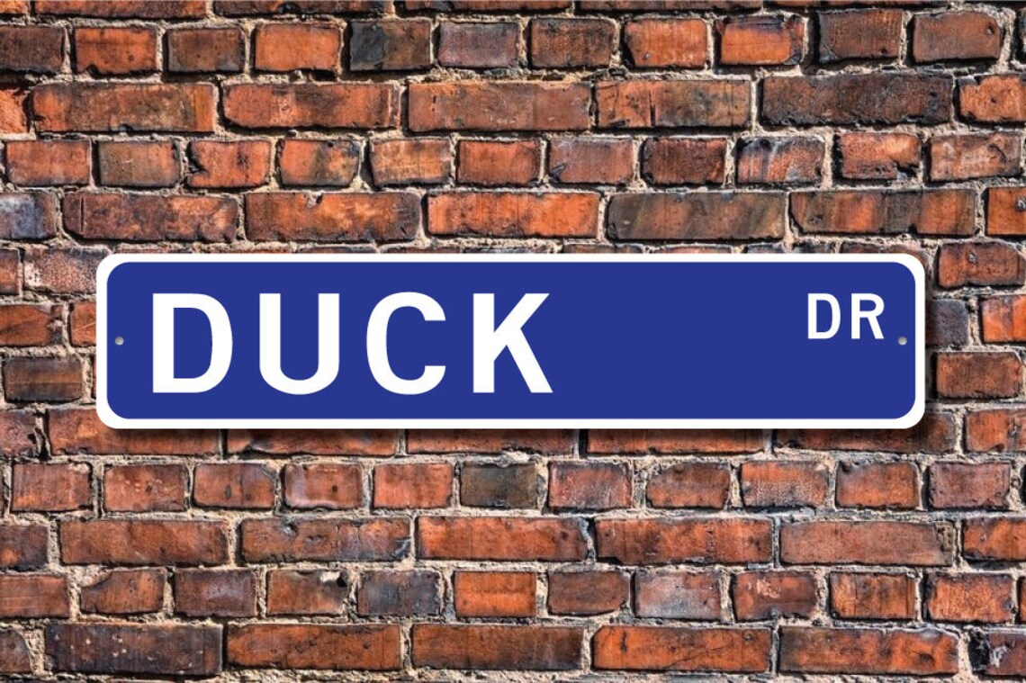 Duck Duck Gift Duck Sign Duck Decor Duck Expert Duck - Etsy
