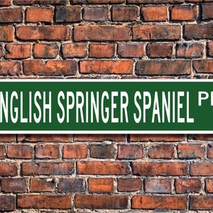 English Springer Spaniel, English Springer Spaniel Lover, English ...