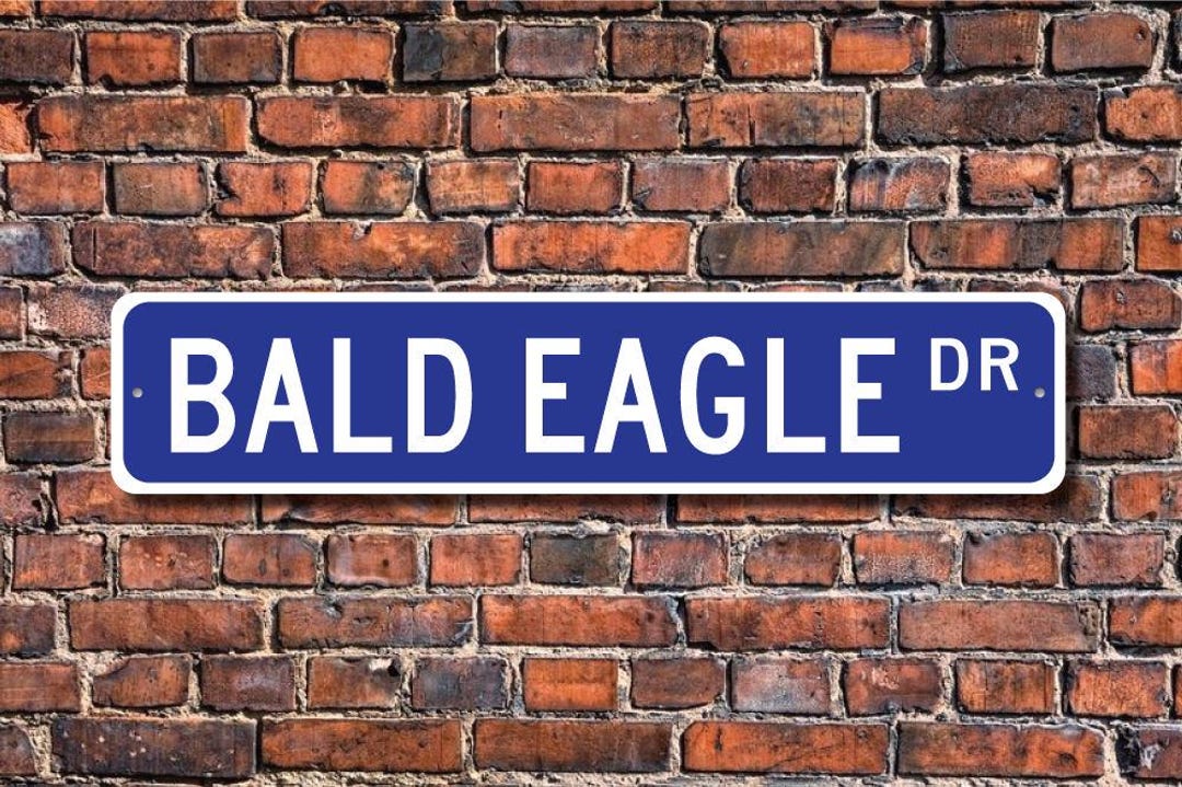 Bald Eagle, Bald Eagle Gift, Bald Eagle Sign, Bald Eagle Decor, Bald ...
